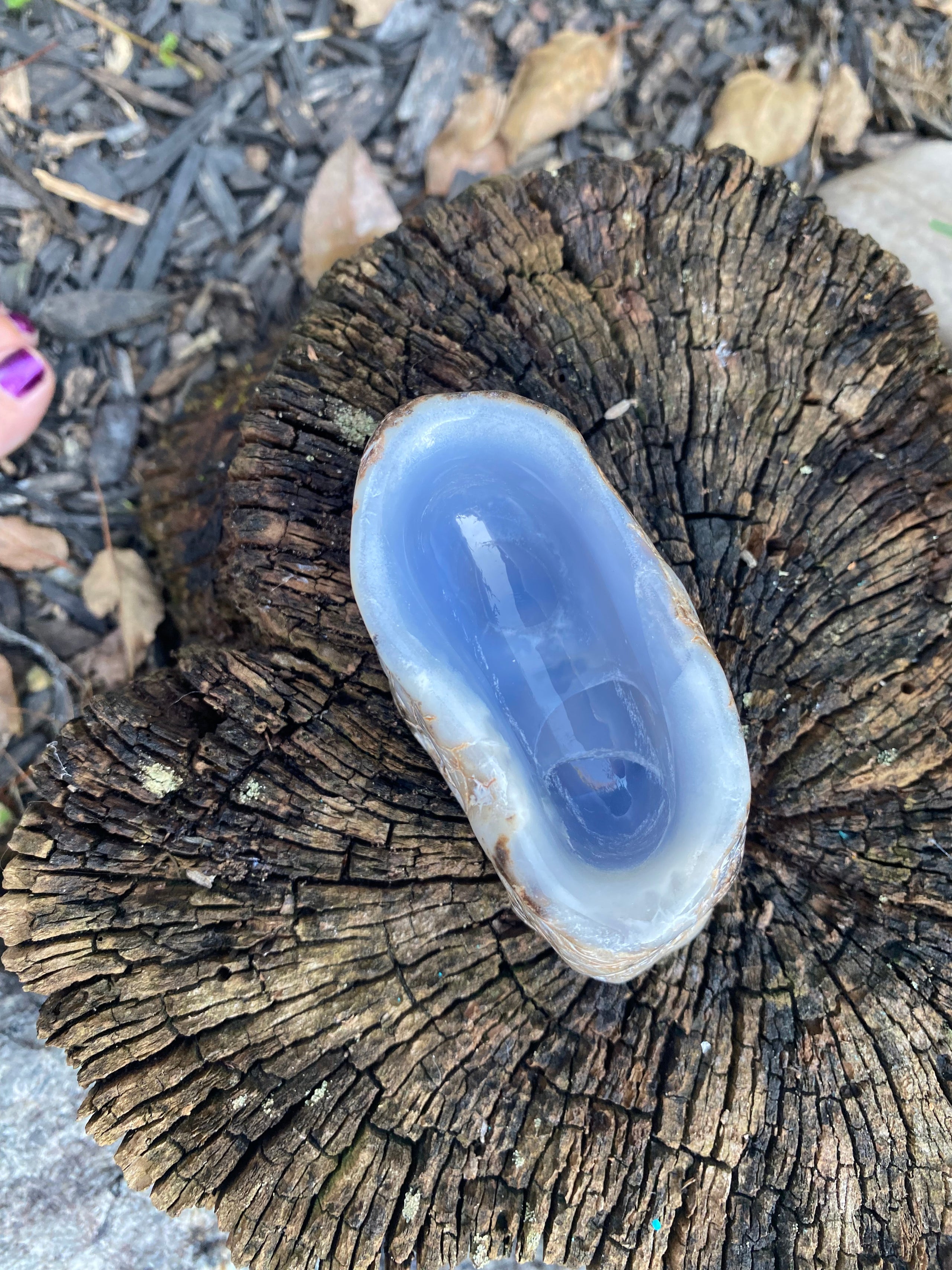 Blue Chalcedony Mineral Specimen | Pathmaven